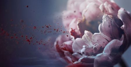 Monceau Fleurs - Flower Twister - Packshotmag