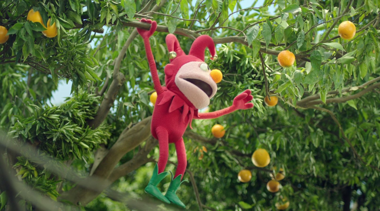 Joker réveille le goût - Pur Jus - Le Bio - Packshotmag