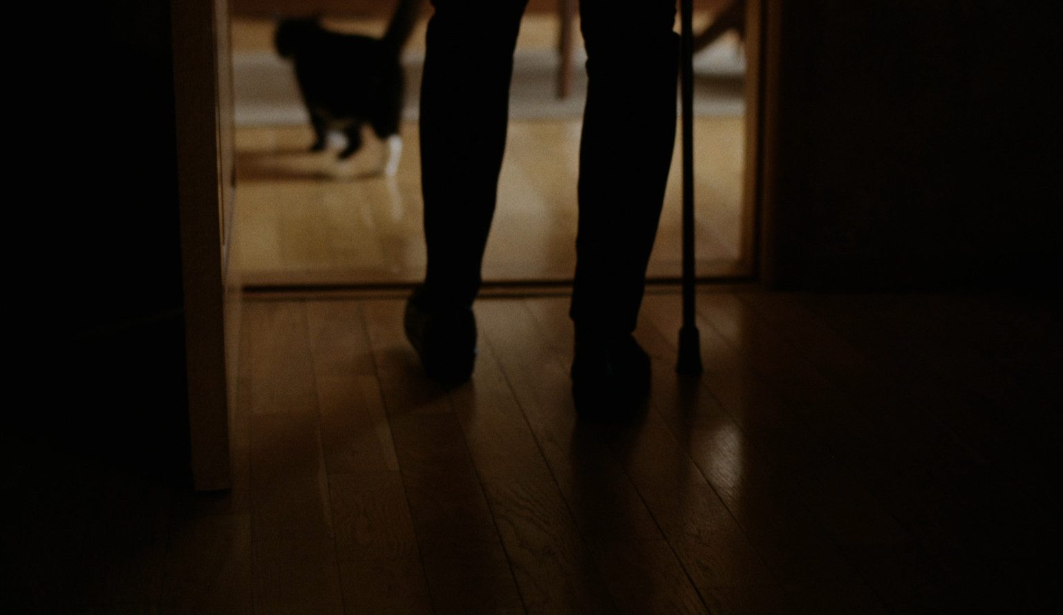 AFSEP - Laura 30 ans dont 5 de Sclérose en Plaques - Packshotmag