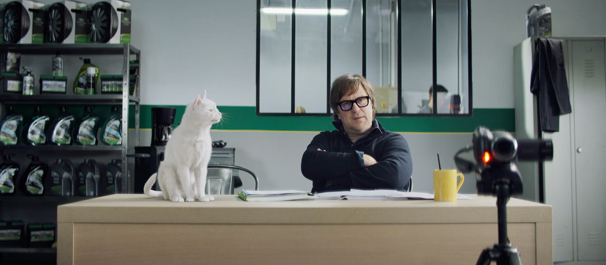 Feu Vert - Rien ne remplace (le chat) l’expert - Packshotmag