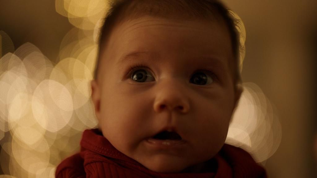 Picard - Joyeux Noël (s) - Packshotmag