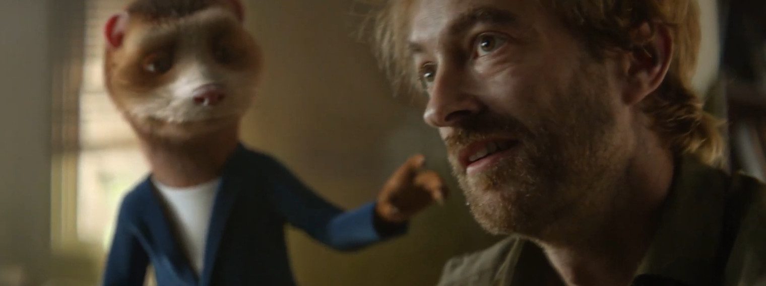 Les Furets - Comparer c’est gagner - Auto - Santé - Packshotmag