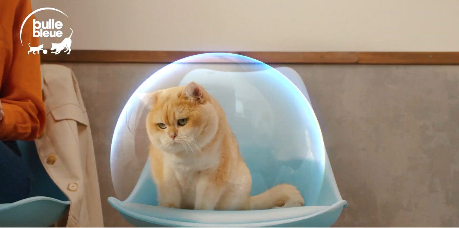 Bulle Bleue - Offrez une bulle de protection à votre animal - Packshotmag