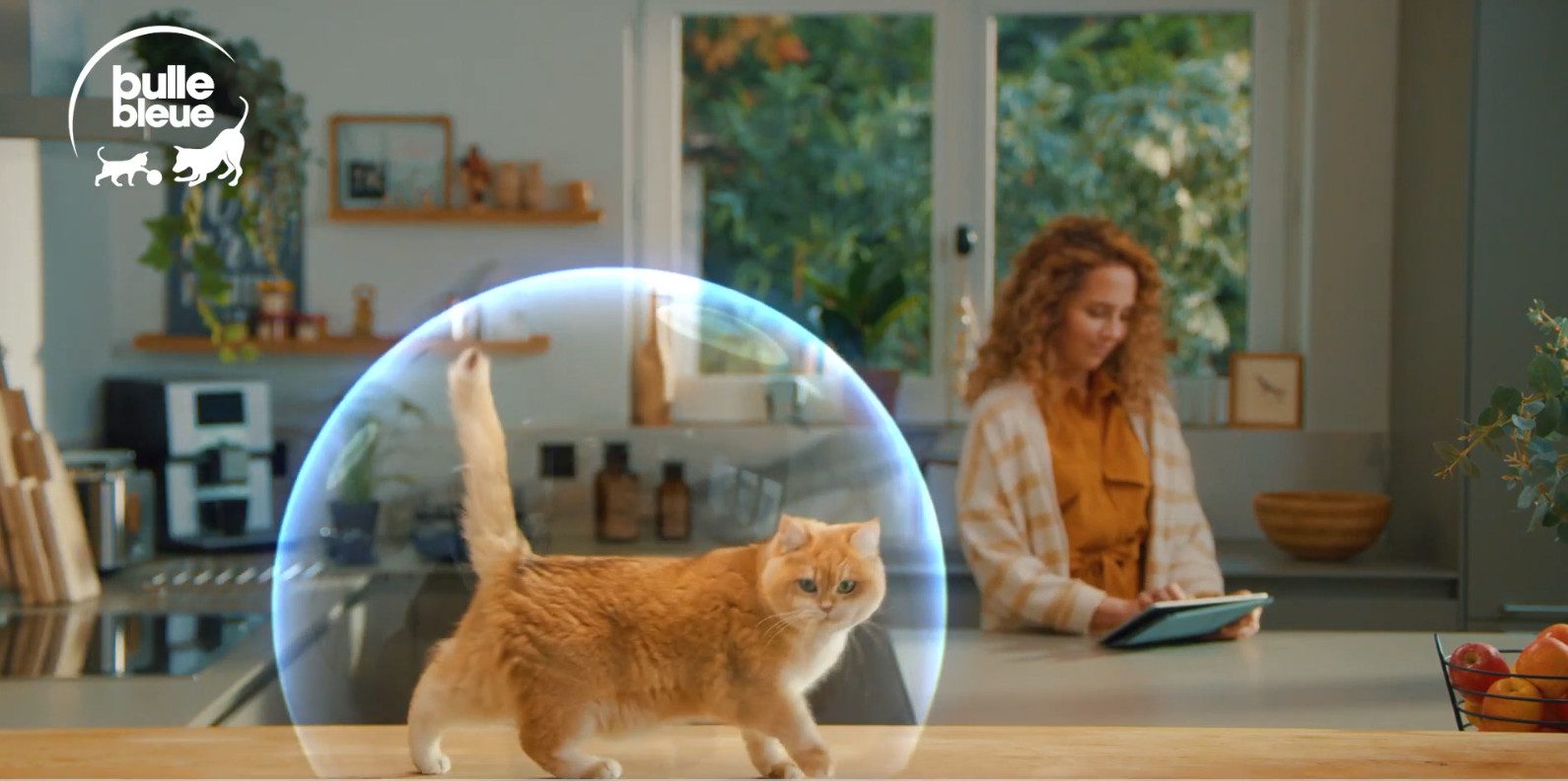 Bulle Bleue - Offrez une bulle de protection à votre animal - Packshotmag