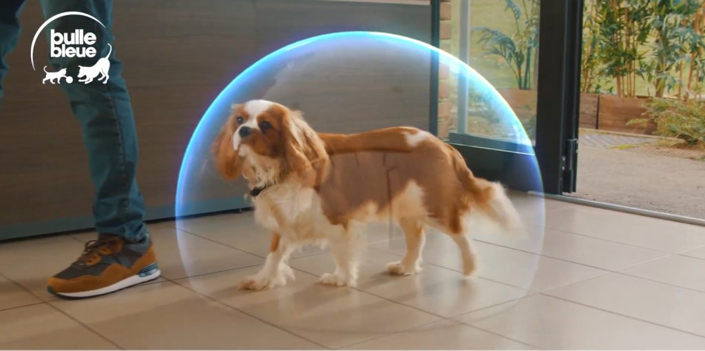 Bulle Bleue - Offrez une bulle de protection à votre animal - Packshotmag