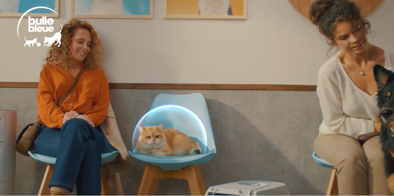 Bulle Bleue - Offrez une bulle de protection à votre animal - Packshotmag