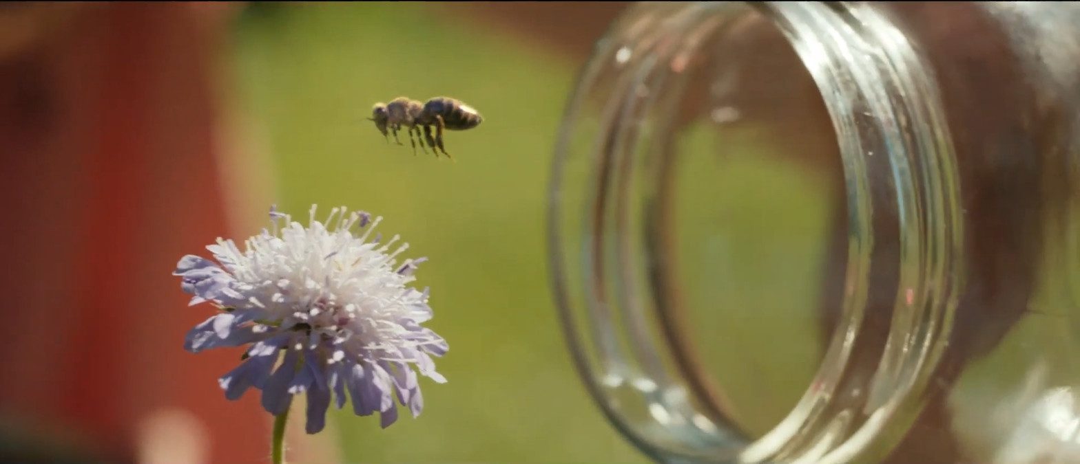 Abeille Assurances - Donner des ailes à votre avenir - Packshotmag
