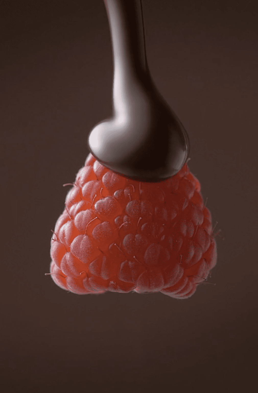 ALEX GRIMA @ RAISE UP - Packshotmag