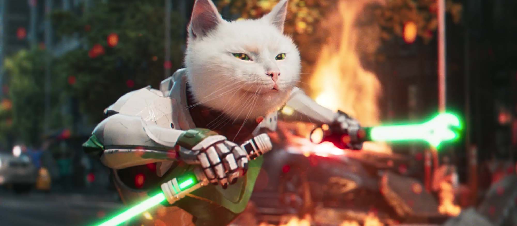 Feu Vert - Le pouvoir de l’expert - Packshotmag