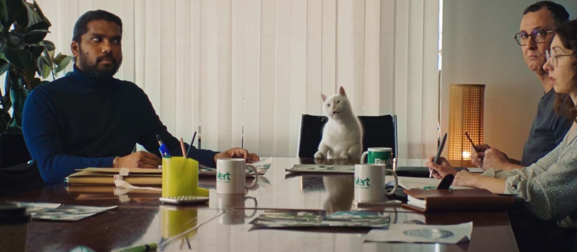 Feu Vert - Le pouvoir de l’expert - Packshotmag