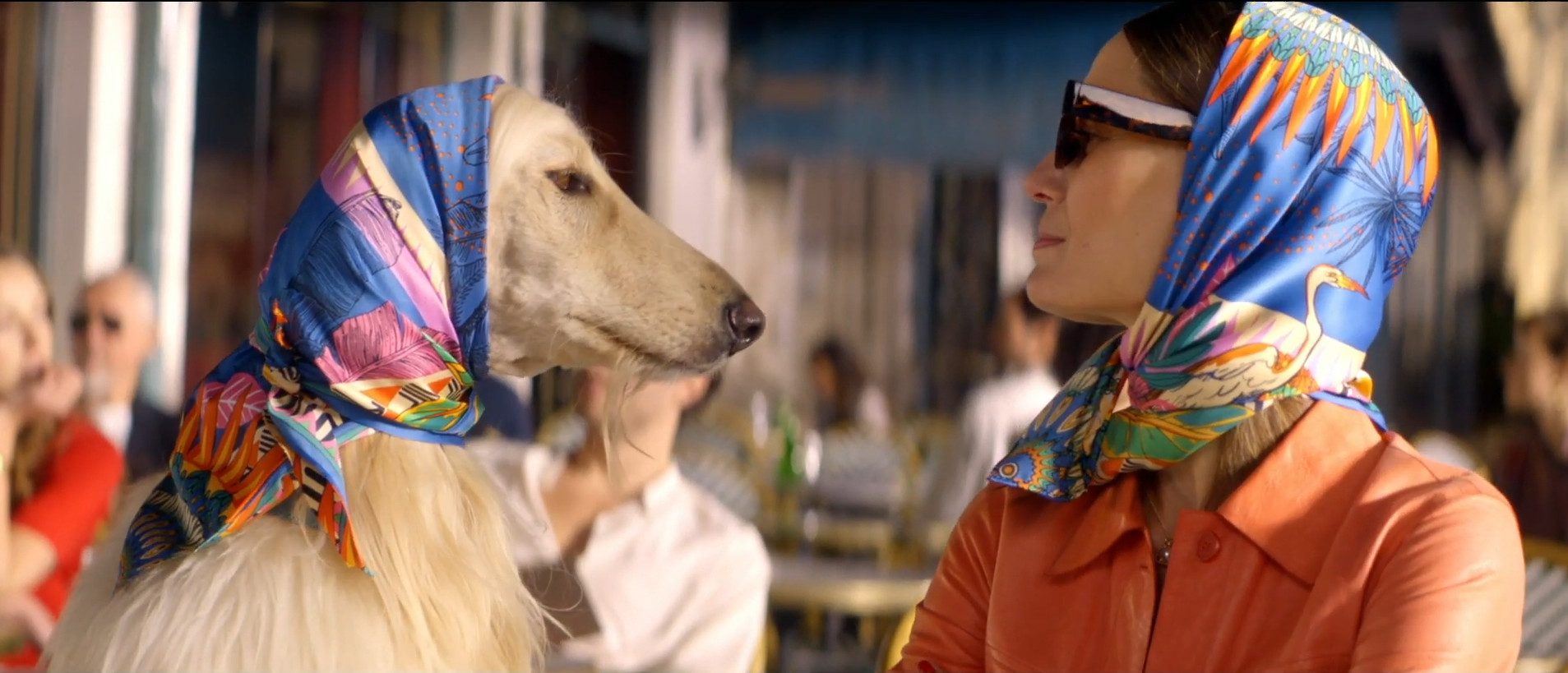 Perrier - Vu en terrasse - Packshotmag