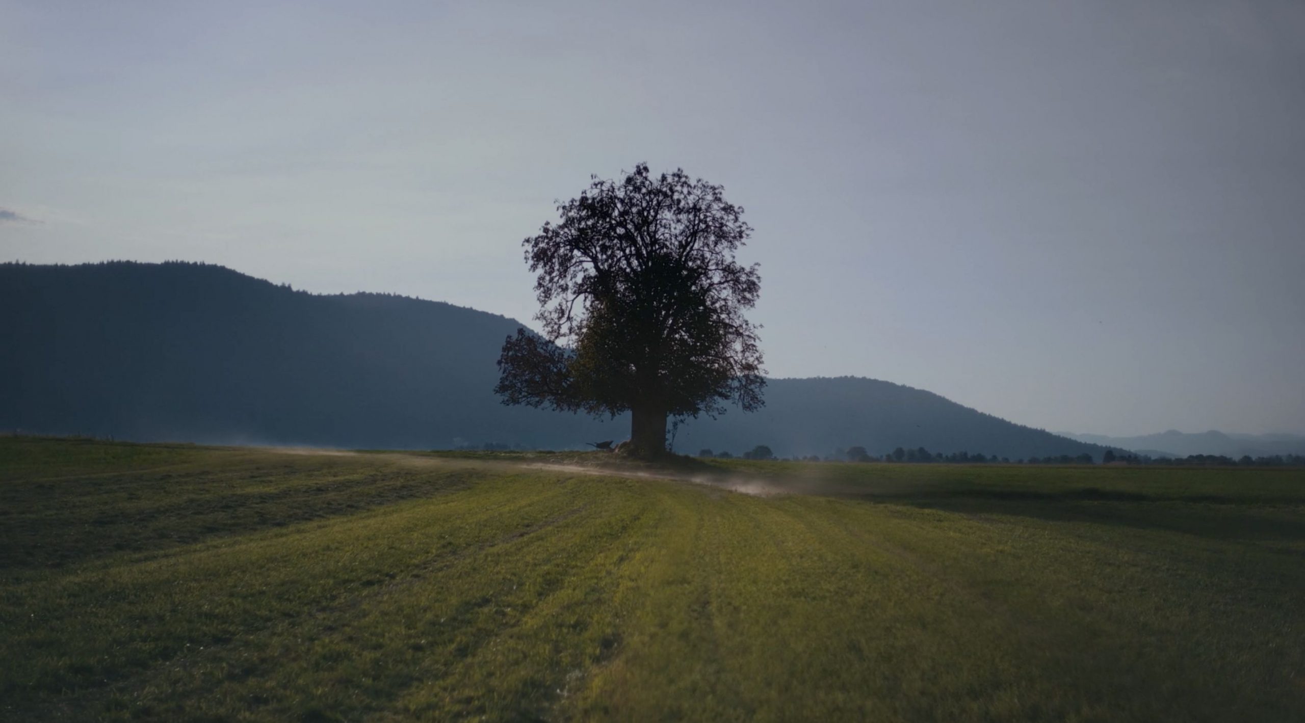 Nouveau Renault Master - Le vent a tourné - Packshotmag