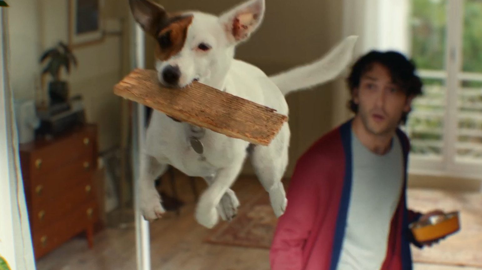 Castorama - Direction Casto - Packshotmag