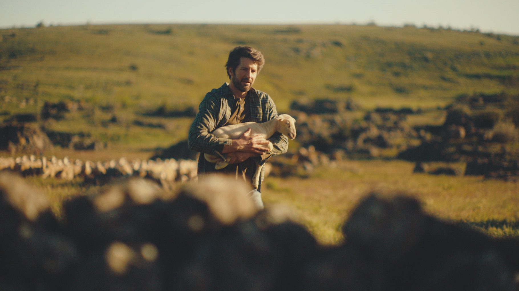 Lou Pérac - Le meilleur des brebis - La confidence - Packshotmag