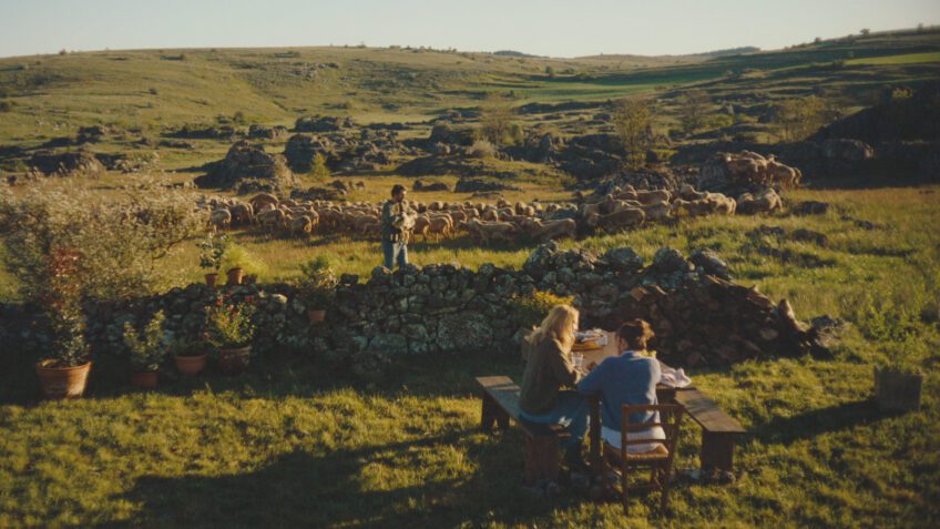 Lou Pérac - Le meilleur des brebis - La confidence - Packshotmag